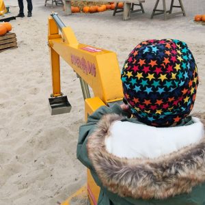 Pokémon Trainer Camp Teil 2 - Jetzt wird es lecker! - Heldenhaushalt