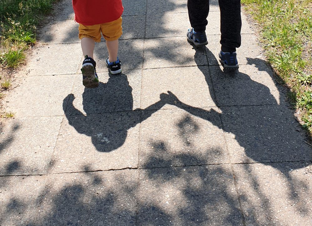 Pokémon Trainer Camp Teil 2 - Jetzt wird es lecker! - Heldenhaushalt